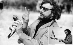 Terry Southern: Writing to His Own Beat | Creative Screenwriting