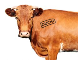 Discover Your Screenwriting Brand Creative Screenwriting